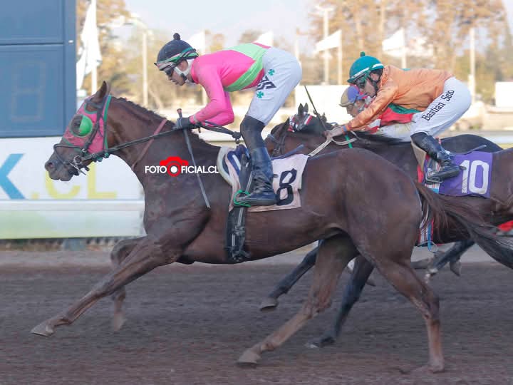 Mis Quince Campeones - Home