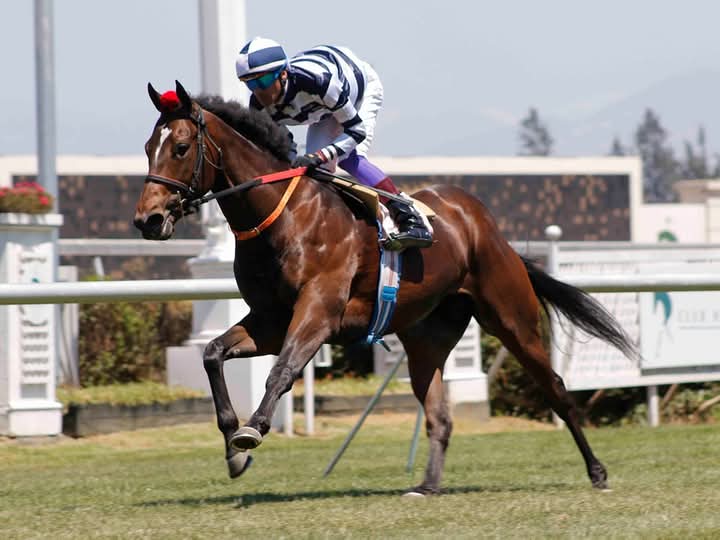 Mis Quince Campeones - Home